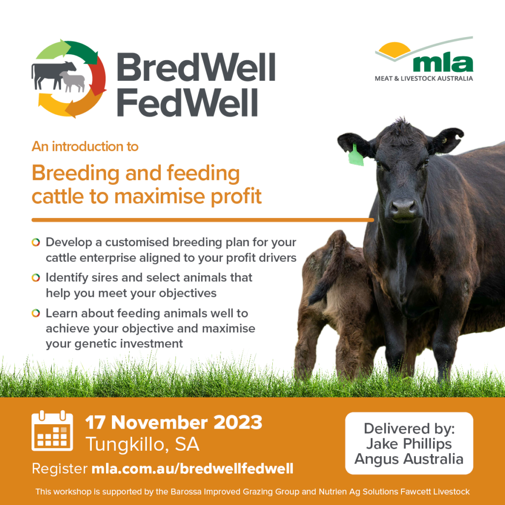 BredWell FedWell: An Introduction to breeding and feeding cattle to ...