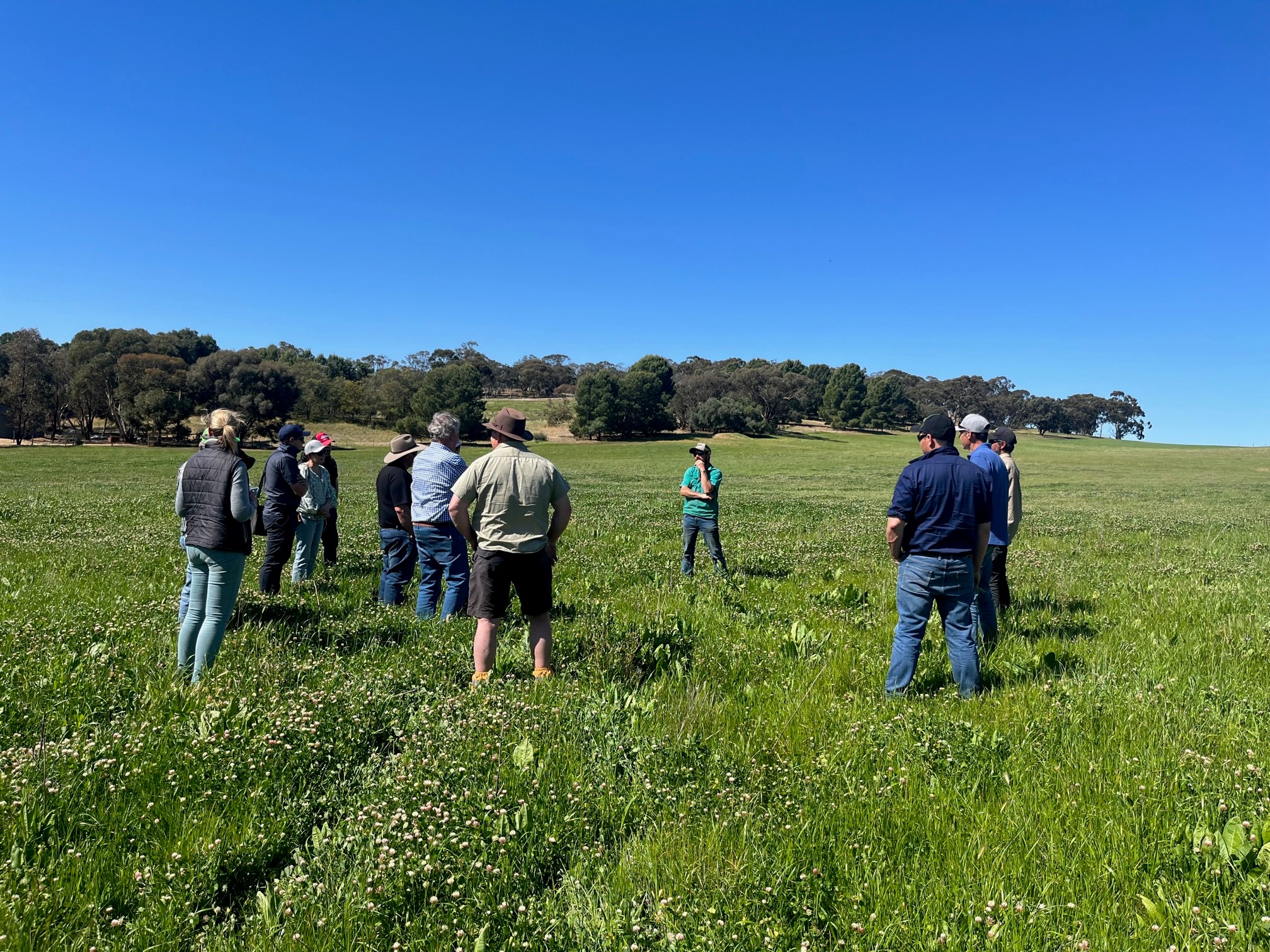 Trigger point workshop & pasture walk - Barossa Improved Grazing Group