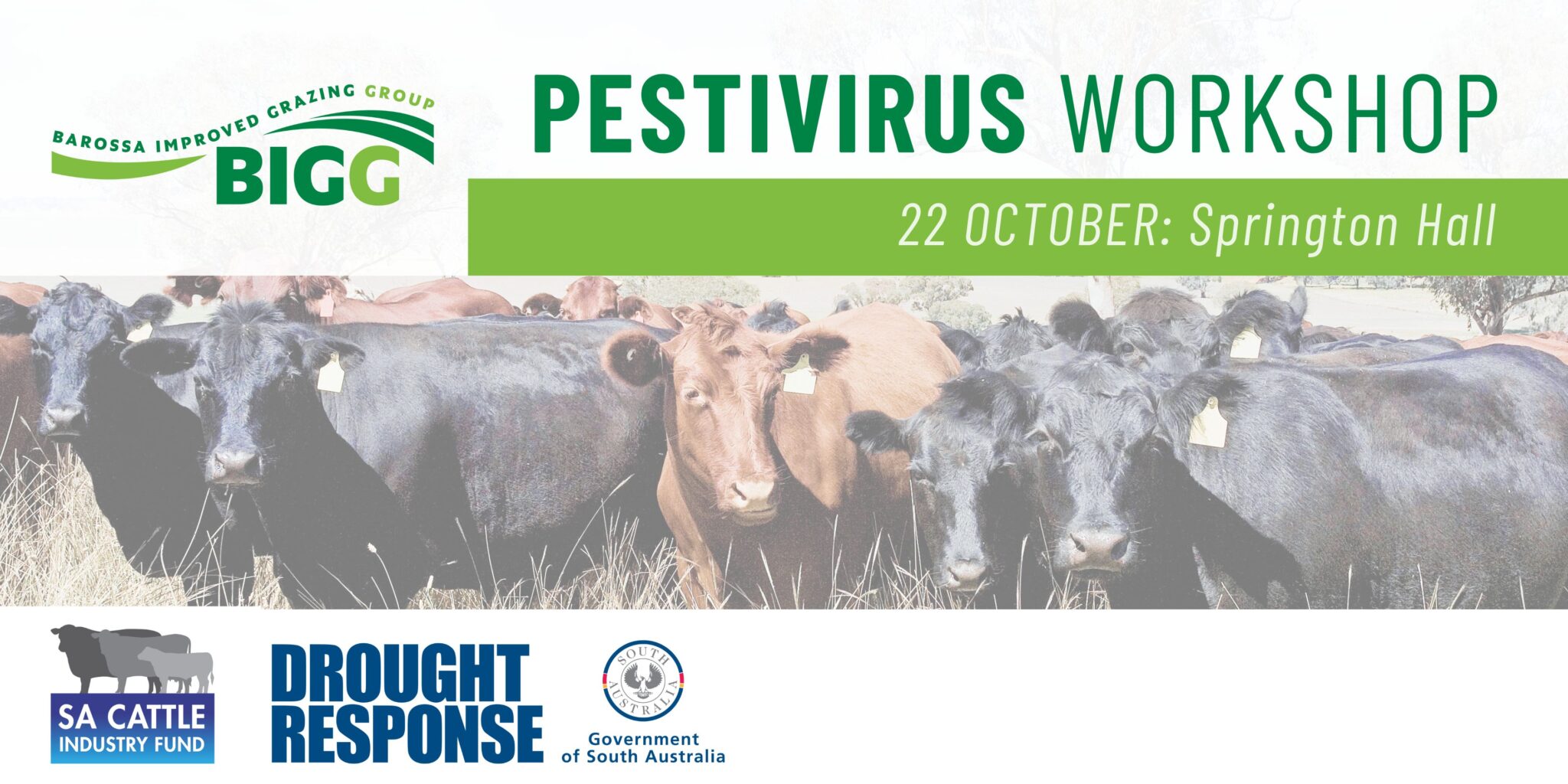 Understanding Pestivirus: Upcoming BIGG workshop hosts leading ...